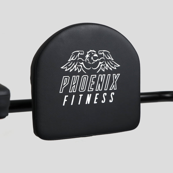 Pull-Up Rack – Phoenix Fitness