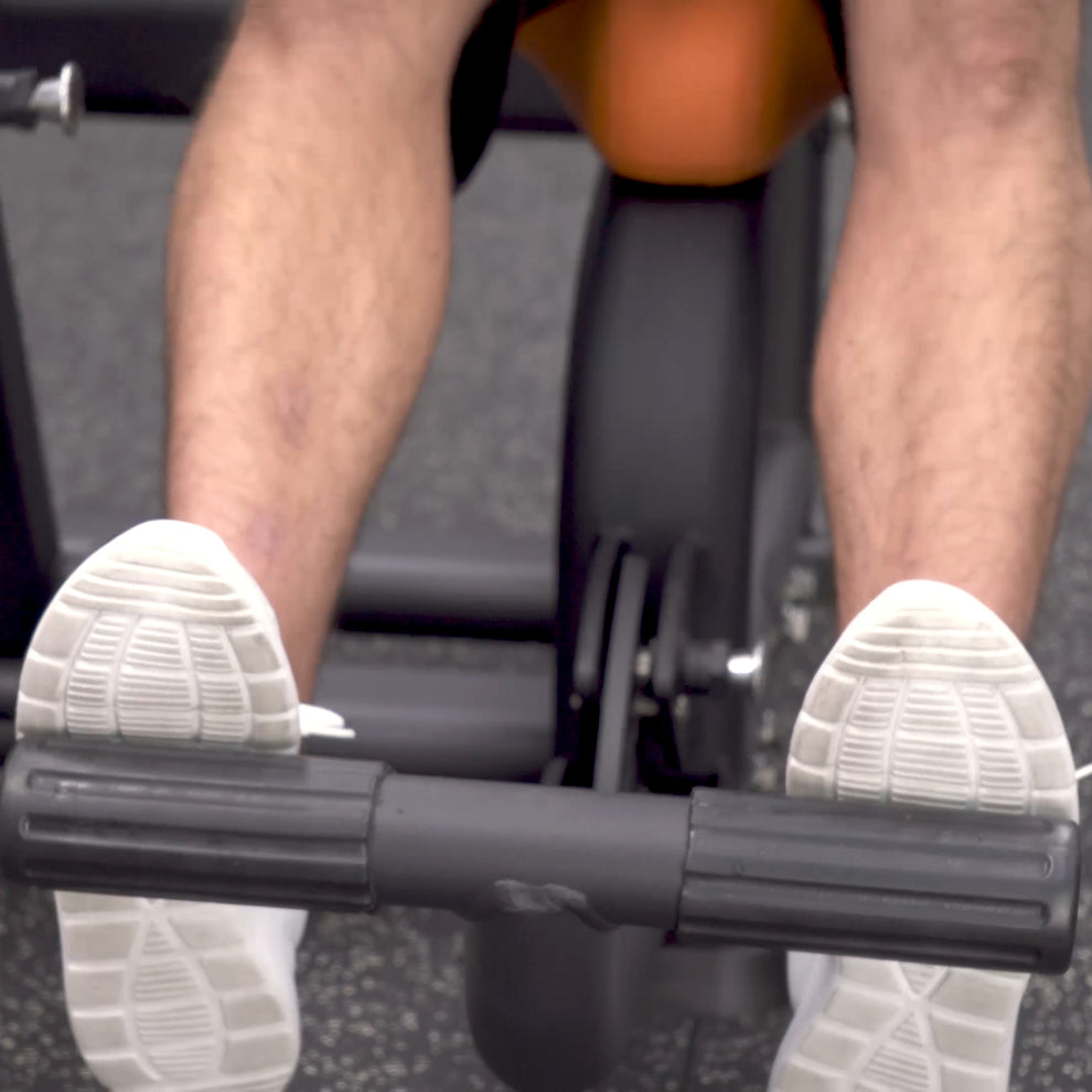 Abdominal / Back Extension Machine – Phoenix Fitness